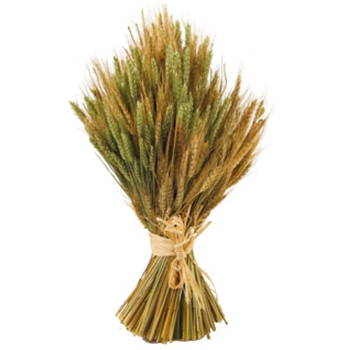 Bouquet Gerbe de blé - Pompes funèbres Canard